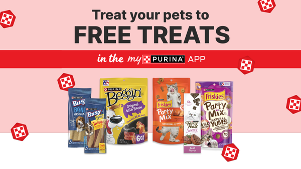 Cómo Leer Las Etiquetas De Los Alimentos Balanceados Para Perros Purina