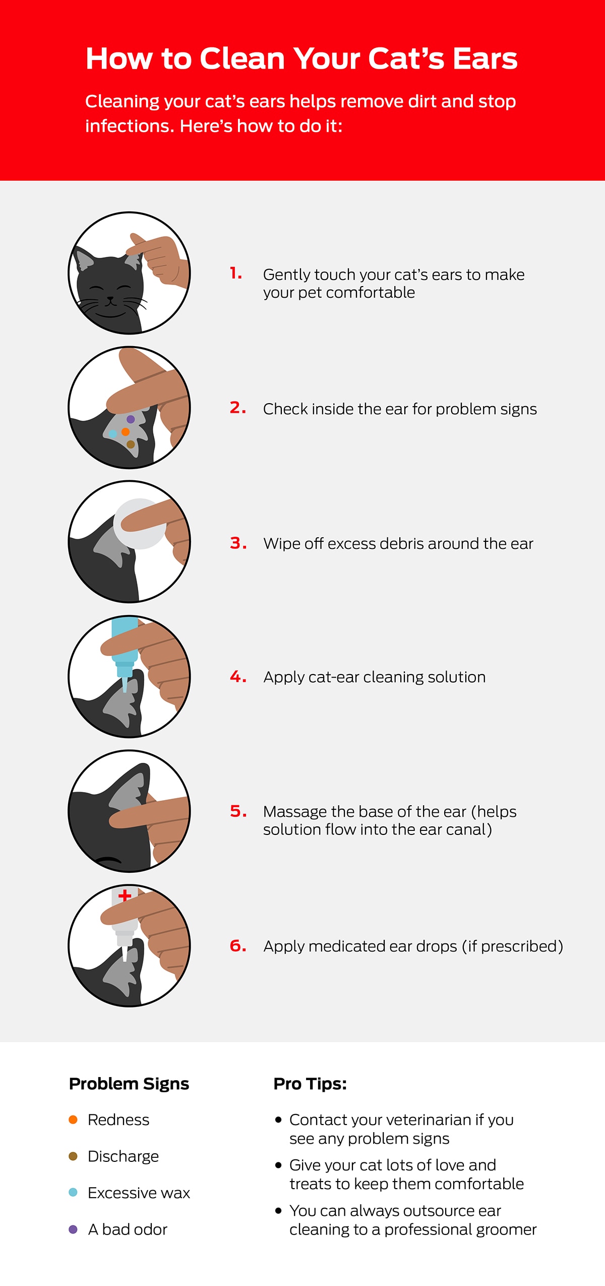 How to Clean Your Cat's Ears | Purina US