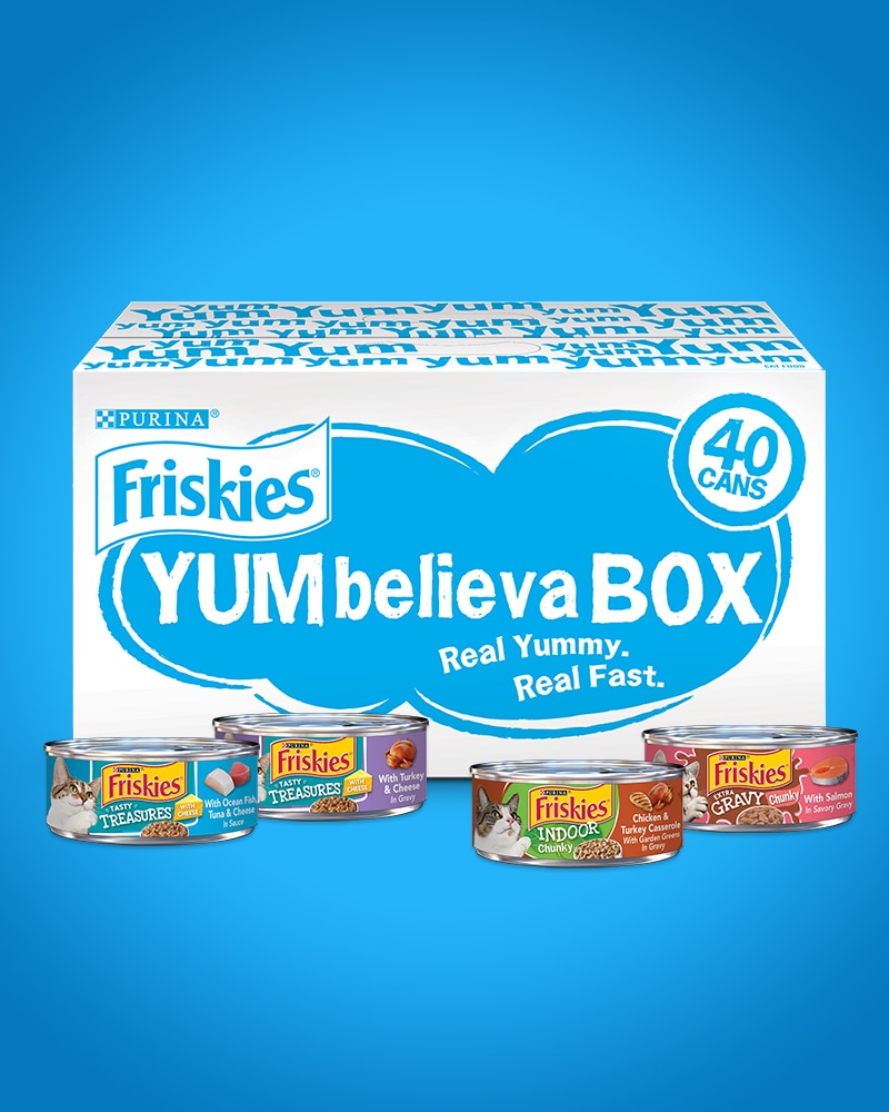 Nestle Multipack Cereal Box Bowls Wide Range | www.pinnaxis.com