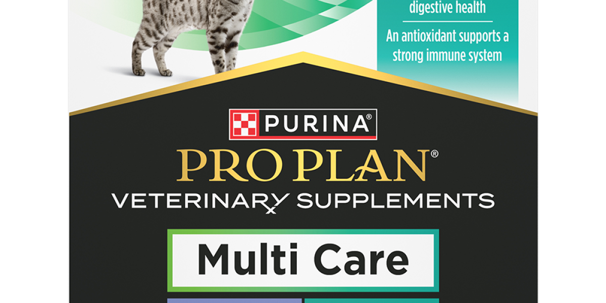 pro plan logo vector